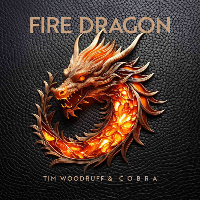 Synth Single Review: “Fire Dragon’’ by Tim Woodruff & C O B R A - HubPages