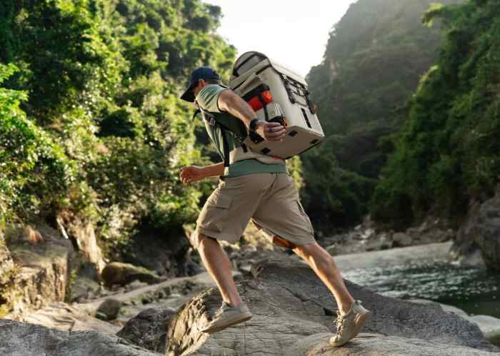 Strap Some Cool To Your Back With The Litheli FrozenPack Backpack Car Fridge - HubPages