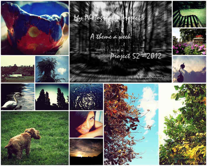 A Theme a Week Photography - Project 52 - 2012 - HubPages