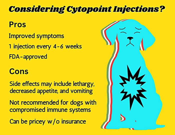 Pros, Cons, and Side Effects of Cytopoint Injection for Dogs - HubPages