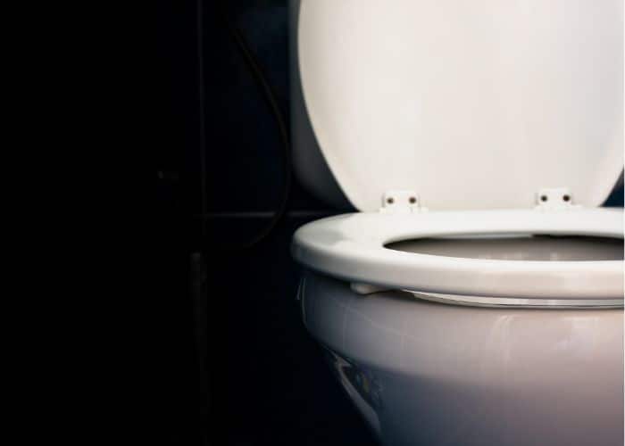 Stool Abnormalities: Mucus, Blood, and Color (With Pictures) - HubPages