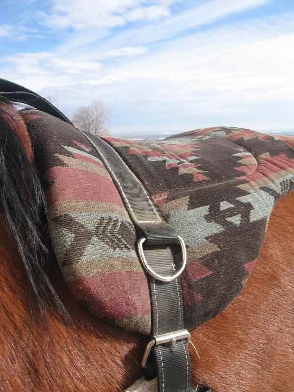 Hippotherapy - Healing Children with Horses - HubPages