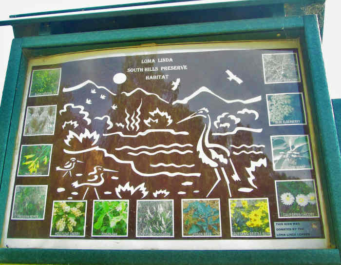 Hiking at Hulda Crooks Park - HubPages