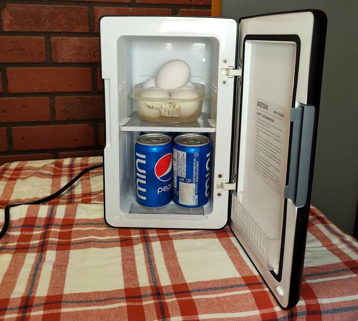 Review of the AstroAI 6 Liter Mini Fridge - HubPages