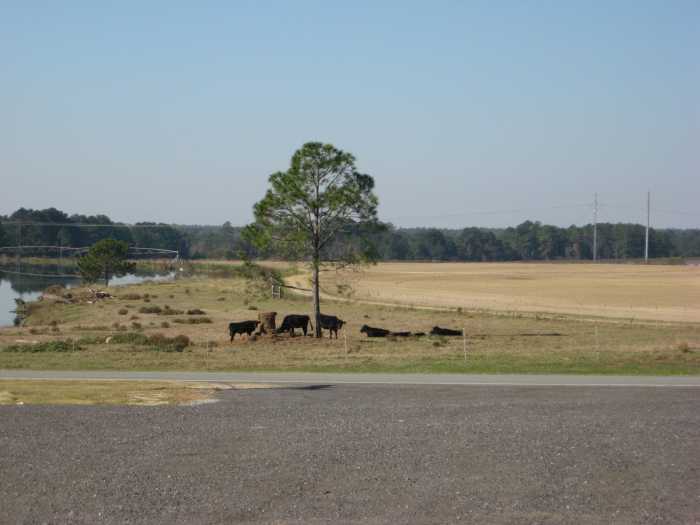 Fun Activities For Kids - Rutland Farms - HubPages