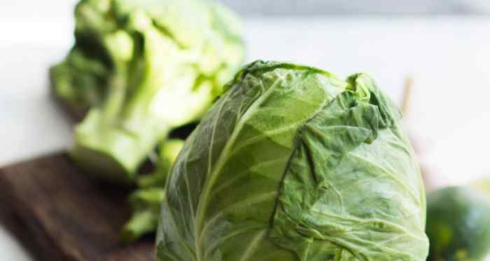 What Does It Mean When Cabbage Has Black Spots? - HubPages