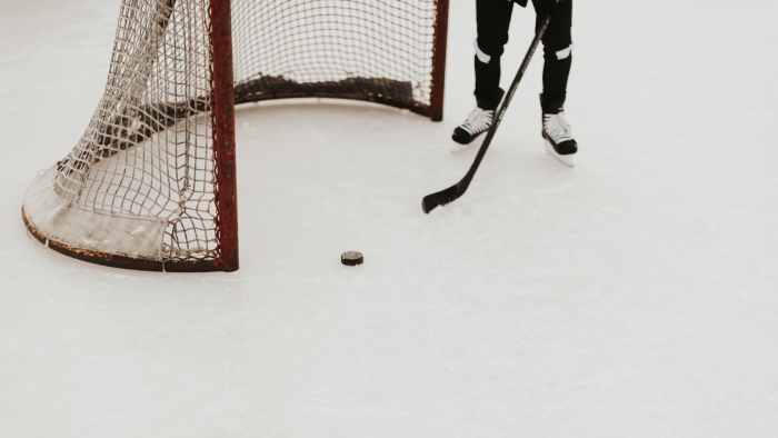 15 Shortest Goalies to Ever Play in the NHL - HubPages