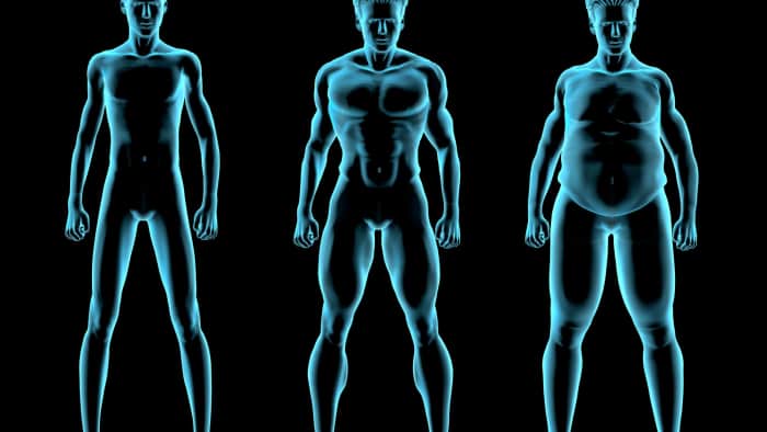 How to Change Your Body Type to Ectomorph, Mesomorph, or Endomorph ...