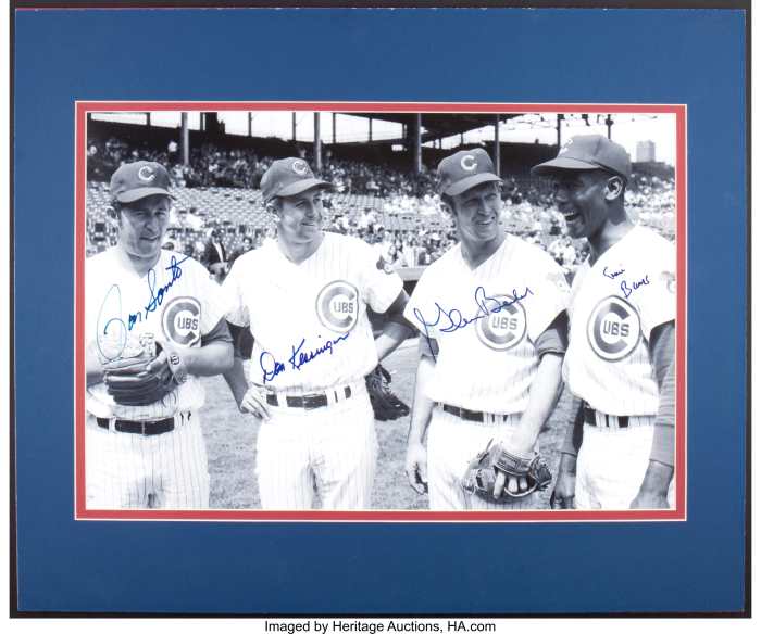 1969 Chicago Cubs - HubPages