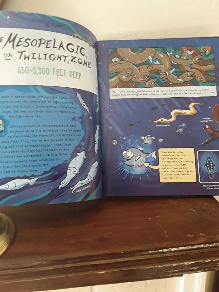 Sea Creatures At the Depths of the Ocean in Creative and Educational ...
