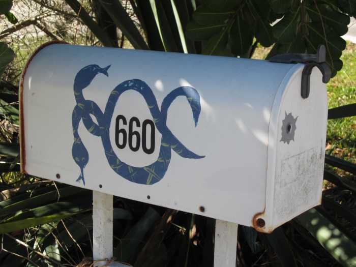 What's in Your Mailbox - Mailbox Infestations and More, Part 3 Cold and ...