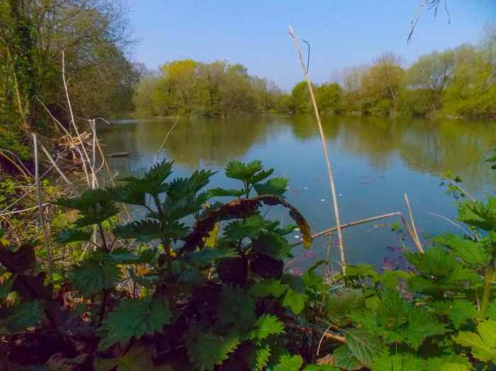 Scenic Walks and Trails: Lakes and Waterways of Cardiff and The Vale Of ...