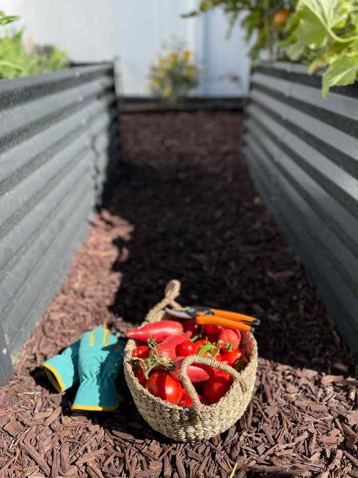 September is National Organic Harvest Month - HubPages