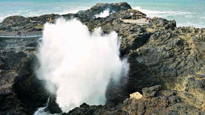Discover the Majestic Kiama BlowHole, a Natural Wonder - HubPages