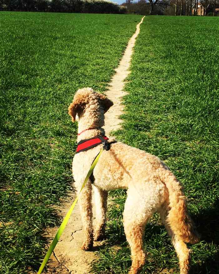 Ley Lines—Ancient Sat-Nav or Spiritual Energy Pathways? - HubPages
