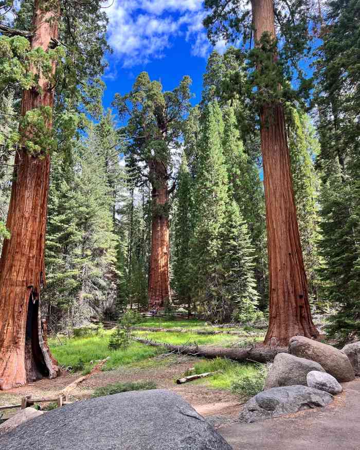 What to Know Before Camping in Sequoia National Park - HubPages