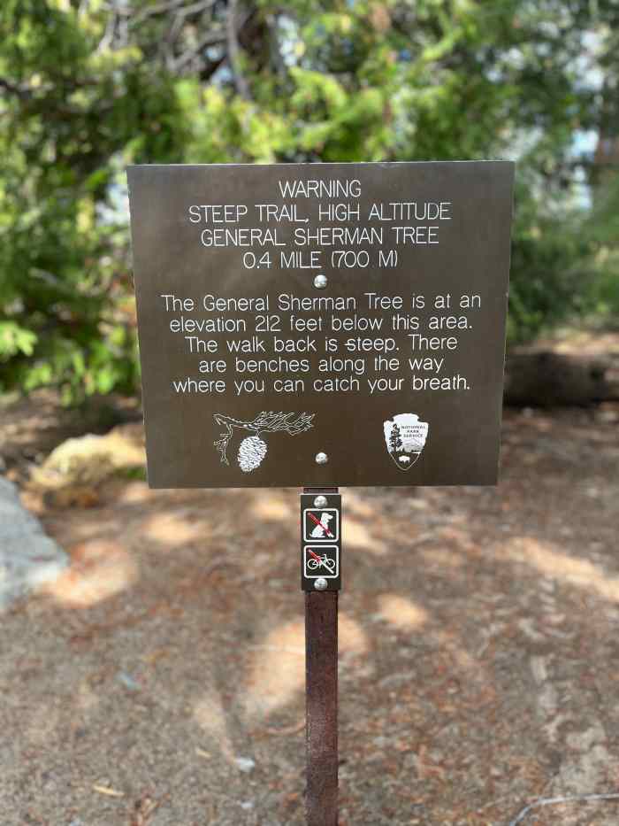 What to Know Before Camping in Sequoia National Park - HubPages