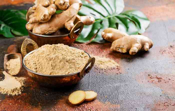Can You Substitute Ground Ginger for Fresh Ginger? - HubPages