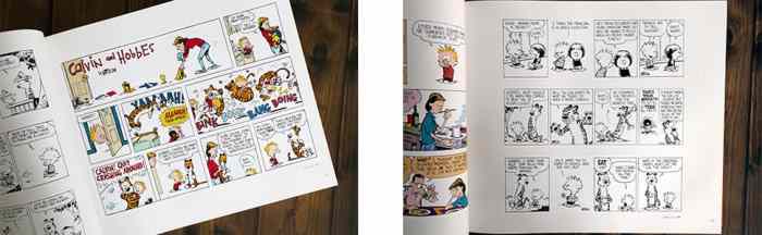 The Complete Calvin and Hobbes Box Set - HubPages