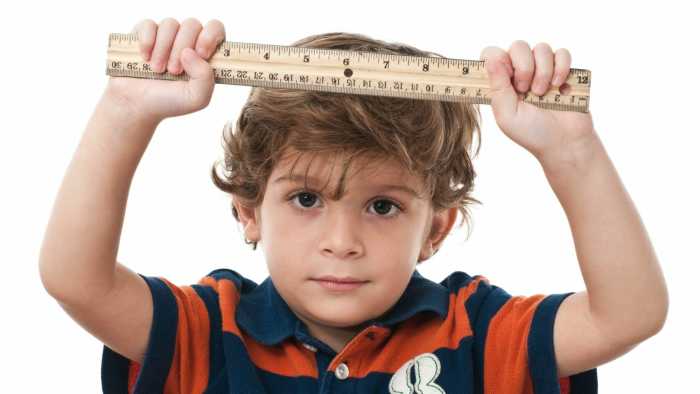 Lesson Plan for Teaching Measurement to Elementary School Students ...