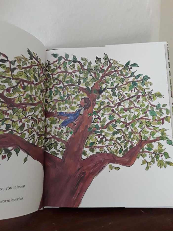 The Connection to a Beloved Tree and Jam in a Charming Picture Book and ...