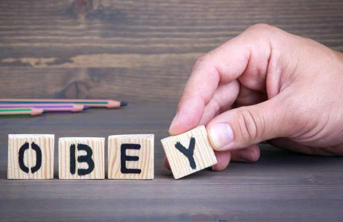 Learning Obedience from the Bible: Following God's Guidance - HubPages