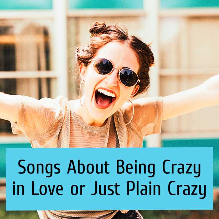 96 Songs About Being Crazy - HubPages