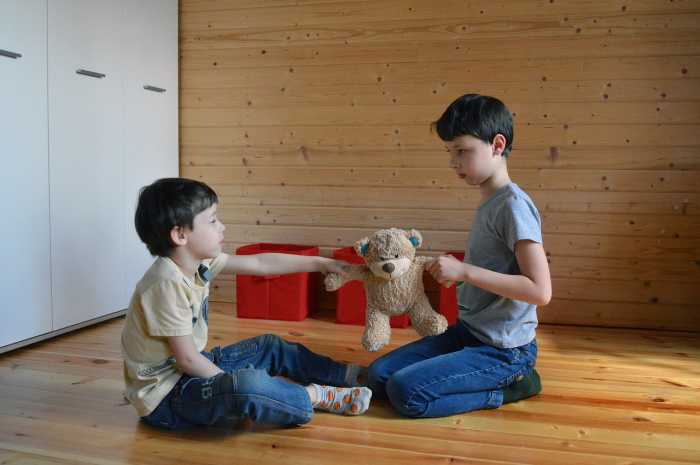 Sibling Rivalry: Warning Signs and Solutions for Parents - HubPages