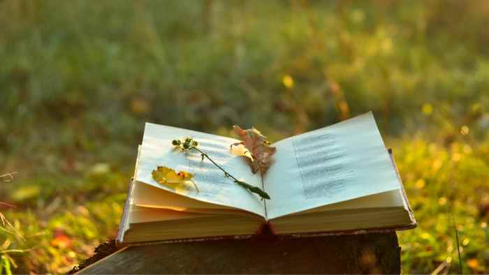Metaphors: Examples in 10 Poems - HubPages