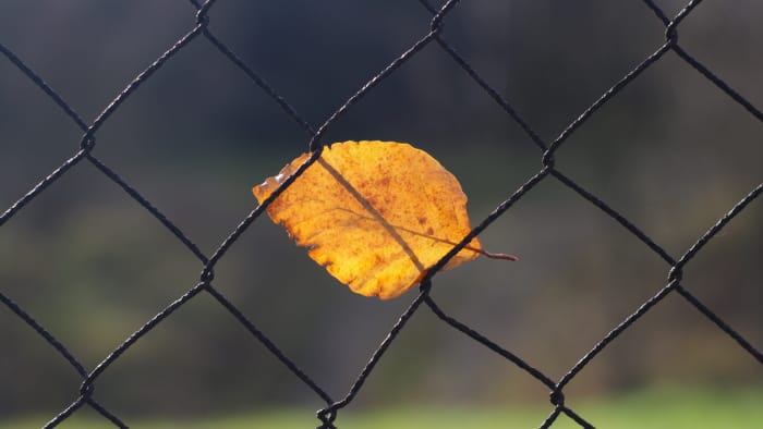 What Is a Cyclone Fence? - Dengarden