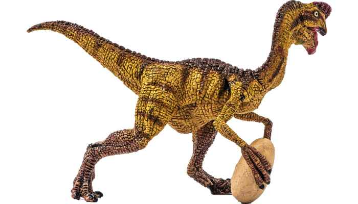 The Evolution of Eggs: The Important Role of Eggs in Cooking - HubPages