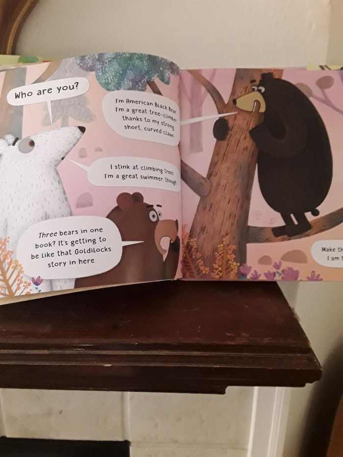 Bear Facts in Creatively Written Non-Fiction Picture Book for Young ...