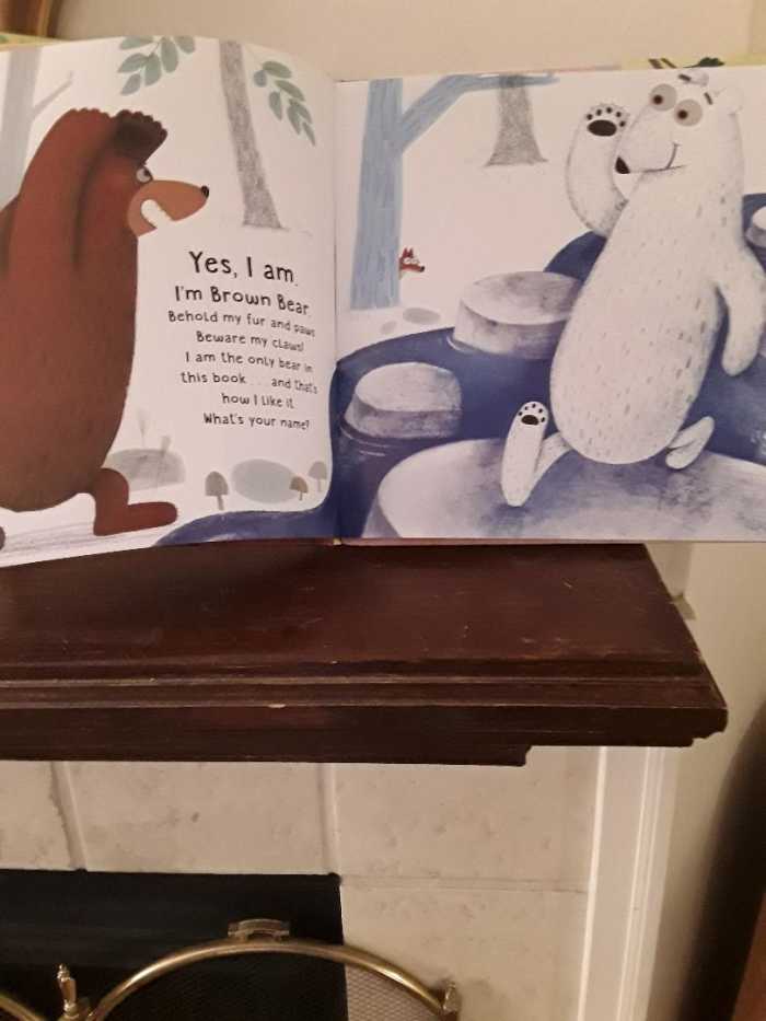 Bear Facts in Creatively Written Non-Fiction Picture Book for Young ...