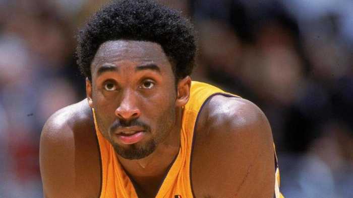 25 Greatest Afros in NBA History - HubPages