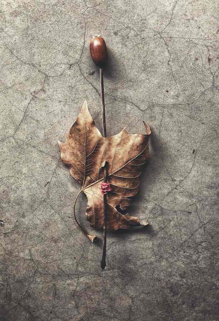 20 Non-Boring Outdoor Activities for Families This Fall - HubPages