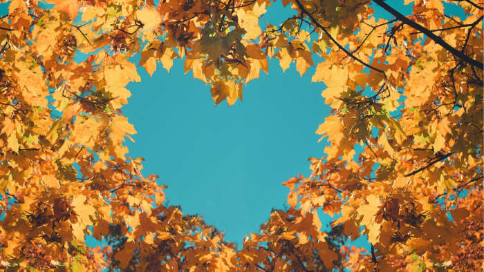 5 Simple Yoga Poses to Celebrate the Fall Season - HubPages