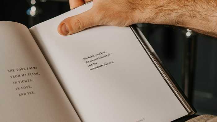 10 Standard Types of Stanza Forms in Poetry - HubPages