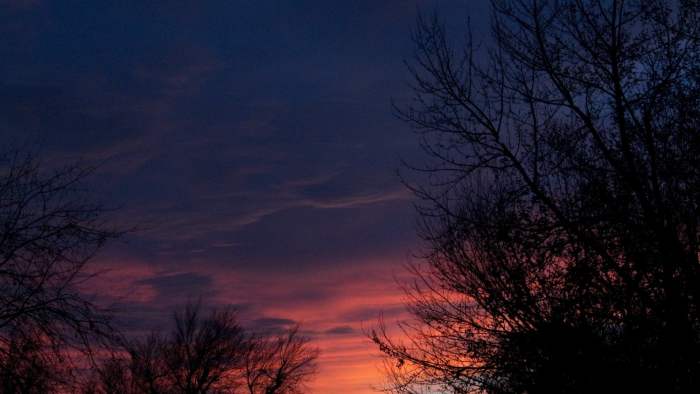 Analysis of the Poem 'As Imperceptibly As Grief' by Emily Dickinson ...