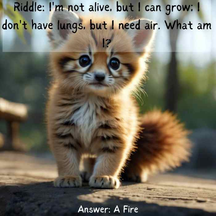 100 Easy and Hard Riddles for Kids: Riddles with Answers - HubPages