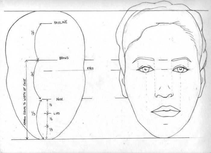 The Road Map to a Proportional Face for Portrait Artists - HubPages