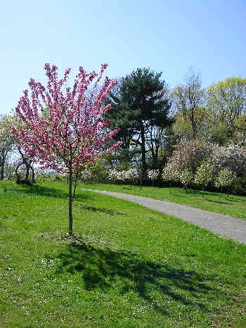 Sacred Names of God Poem - HubPages
