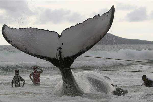 20 Best Pictures 2010 - Most Memorable Photos of the Year 2010 - HubPages