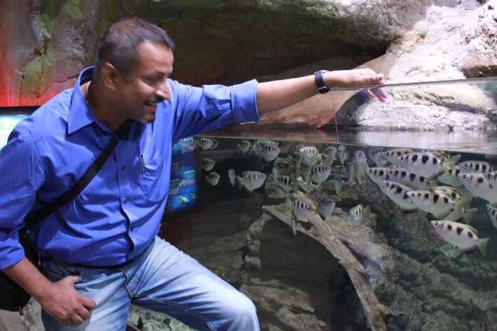 5 Unconventional Fish Species With Astonishing Anecdotes - HubPages