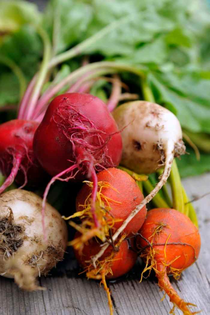Beetroot For All: 5 Amazing Health Benefits Of Consuming Beetroot ...