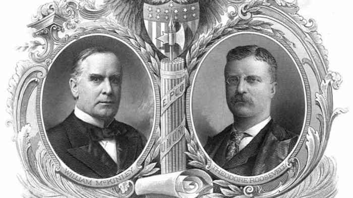 25th US President: William McKinley's Career and Assassination - HubPages