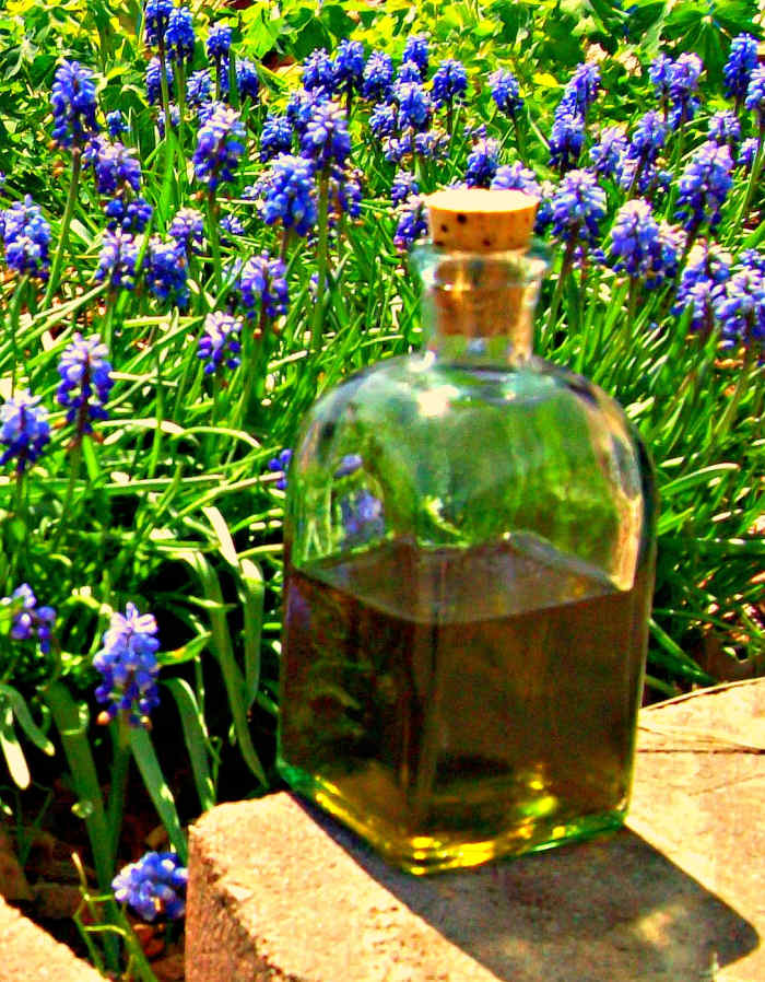 Homemade Herbal Ointments and Salves To Relieve the Pain of Arthritis ...