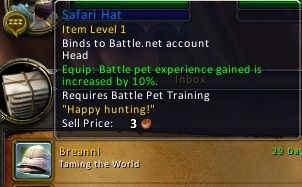 World of Warcraft Pet Battle Guide - HubPages