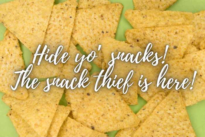 150+ Snack Quotes and Caption Ideas for Instagram - HubPages
