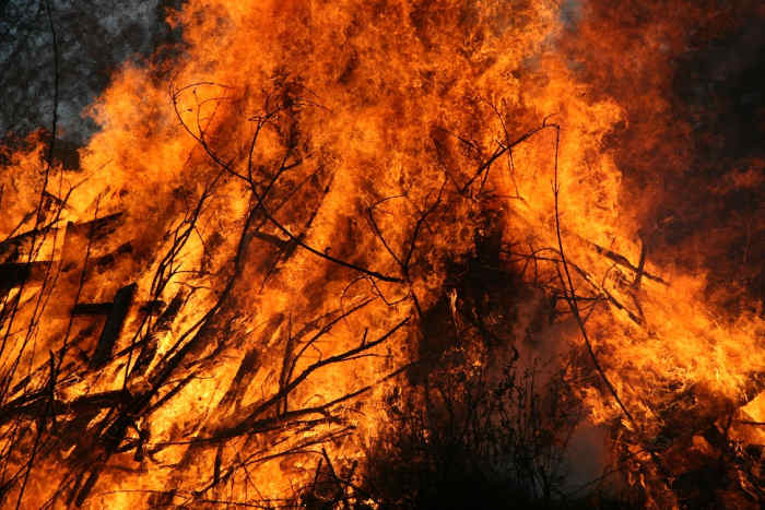 How to Start a Fire in a Disaster or Survival Situation: Fire Making ...