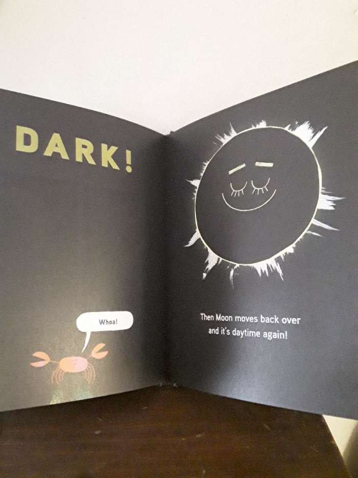 Moon Tells Her Story of Her Place in Space in Picture Book for Young ...